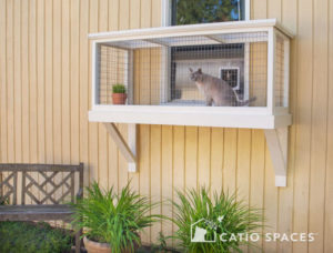 Is It Easy To Build A Window Box Enclosure for My Cat? - Catio Spaces